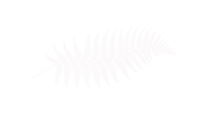 JWO Grant - JWO Research Grant
